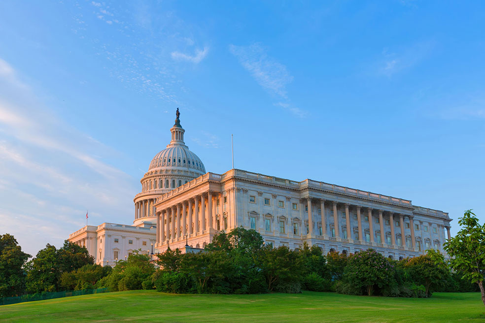 Capitol Building Washington DC Peel and Stick Wallpaper for Living Room ...